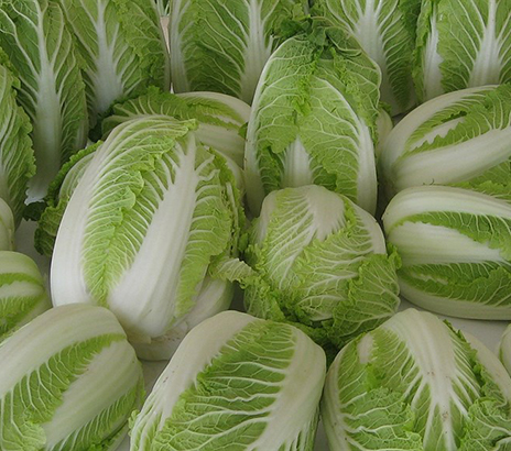 Chinakohl – Steirergemüse